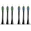 Amazon.com : Replacement Toothbrush Brush Heads for Wagner & Stern and ...
