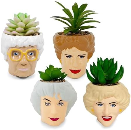 Amazon.com : Mikopei Golden Girls Merchandise - Funny Succulent Pots ...
