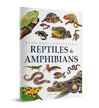 Wonder House Books Animals - Reptiles and Amphibians : Knowledge ...