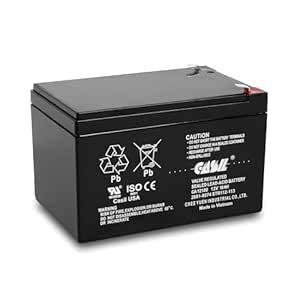 Casil 12V 10Ah SLA AGM Battery – Rechargeable Deep Cycle – F2 Terminals ...