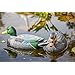 Amazon.com : PondH2o Floating Mallard Duck Pair Pond Décor Contains One ...