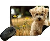 ・ブランド:Eclipse Gift Ideas・製造元:Eclipse Gift Ideas・モデル:Dog-05-M-pad・製造元/メーカー部品番号:Dog-05-M-pad・mousematと、ブラックラバー滑り止めの底・22 cm...
