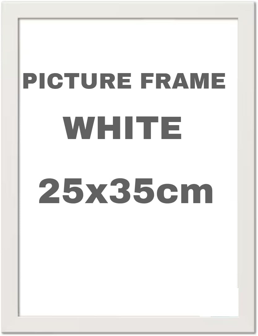 Hama 63126 | Clip-Fix Frame-less Picture Frame | 28 x 35 cm : Amazon.co ...