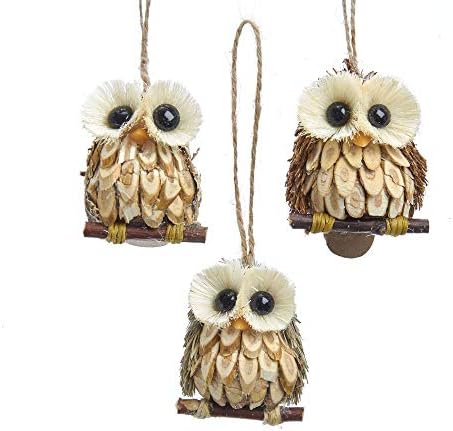 Amazon.com: The Bridge Collection Primitive Sisal Owl Ornaments, Set of ...