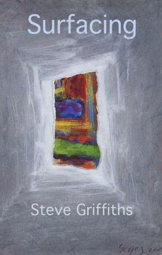 Buy Surfacing Book Online at Low Prices in India | Surfacing Reviews ...