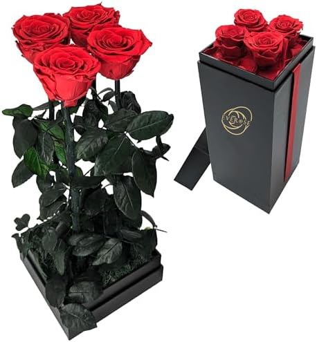 Amazon.com: Preserved Real Rose Flowers That Last 1-3 Years – 4 Long ...