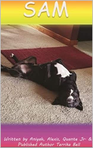 Sam - Kindle edition by Bell, Terrika. Literature & Fiction Kindle ...