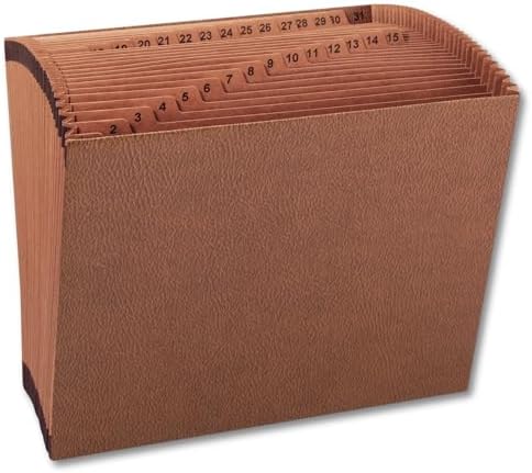 Amazon.com : 1InTheOffice Expanding File Folder 31 Sections, Accordion ...