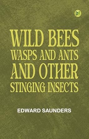 Wild Bees Wasps and Ants and Other Stinging Insects eBook : Edward ...
