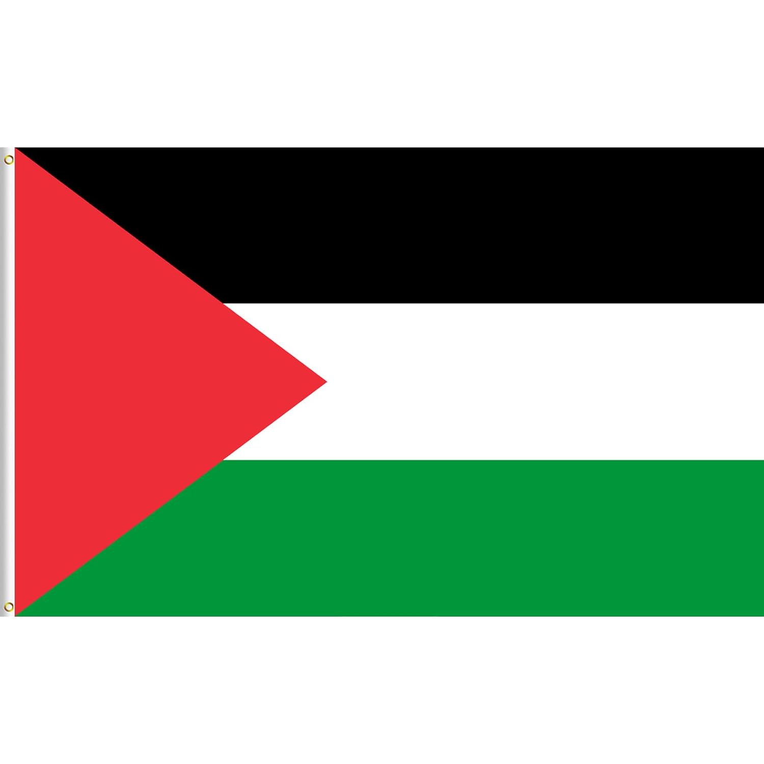 Lixure Palestine Flag 90 x150 cm Palestinian Flag Palestinian National ...