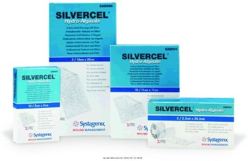 Amazon.com: SILVERCEL Antimicrobial Alginate Dressing, Silvercel 1 X ...