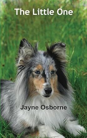 The Little One: Amazon.co.uk: Osborne, Jayne: 9781835971710: Books