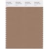 PANTONE SMART 17-1322X Color Swatch Card, Burro - House Paint - Amazon.com