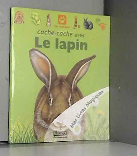 Amazon.fr - Cache-cache avec le lapin (Mes livres magiques) - Hugo ...