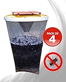 Top 10 Best Fly Traps in 2020 Reviews | Guide