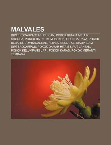 Pokok Meranti Tembaga