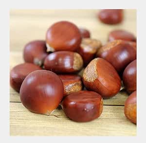 Amazon.com : Korean Fresh Chestnuts Premium Korean Ok-gwang-bam ...