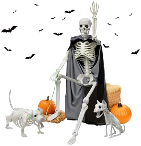 Amazon.com: Heirloom Haven 5.4Ft Halloween Life Size Skeleton, Posable ...