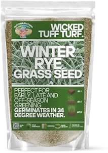 Amazon.com : Winter Rye Grass Seed Grass Fall Mix Ryegrass Seeds for ...