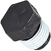 Amazon.com: Pentair WC78-40T 1/4-Inch NPT Plug Replacement Sta-Rite ...