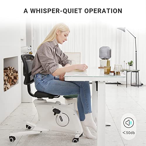 Snapklik.com : FLEXISPOT Adjustable Exercise Bike Home Office Desk ...