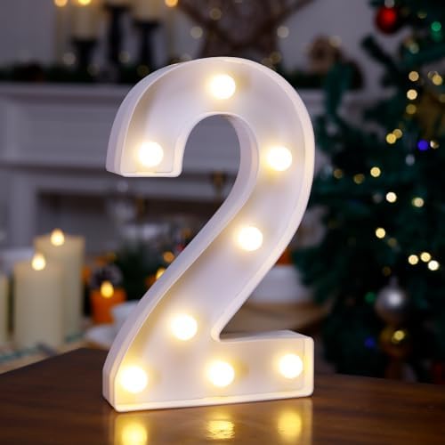 Amazon.com : LED Number Lights Sign 2 Light Up Sign Perfect for Events ...