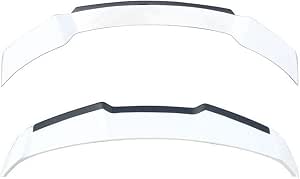 Amazon.com: Roof Spoiler Rear Wing Back Tail Compatible for Toyota CHR ...