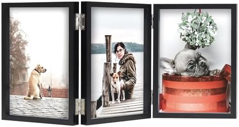 Amazon.com - Frametory, 5x7 Trifold Picture Frame Hinged Photo Frames ...