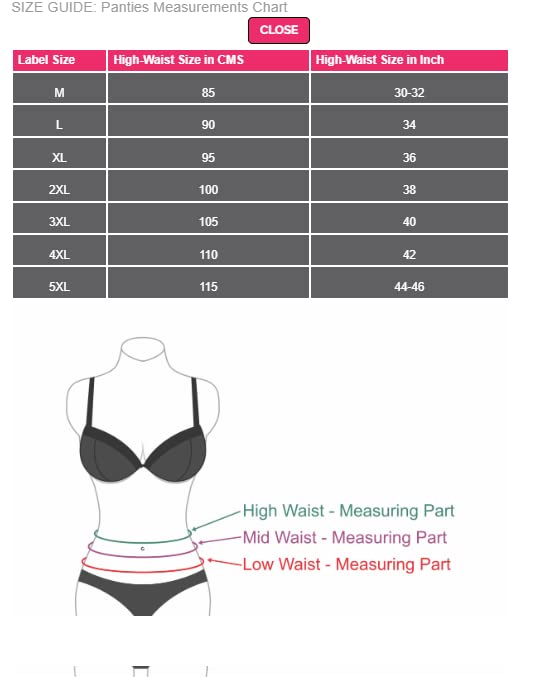 Buy TRYLO Riza Panty YIKING D2_M Assorted at Amazon.in