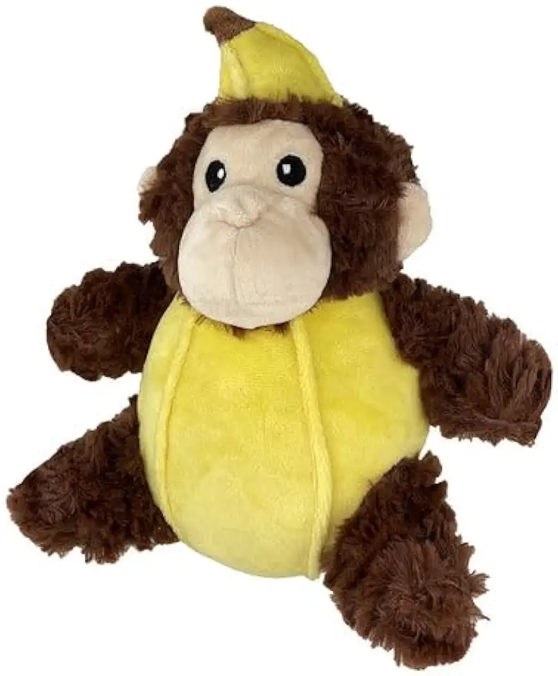 A Complete Guide To Owning A Pet Monkey In Canada | PetShun