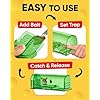 Amazon.com : Motel Mouse Humane No Kill Live Catch and Release Mouse ...