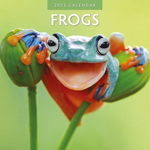 Amazon.com: Red Robin 2025 Frogs Monthly Wall Calendar | 12" x 24" Open ...