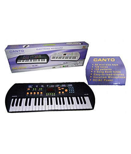 Buy RGB Group Canto 44 Key Piano Keyboard with Microphone, Ac Power and ...
