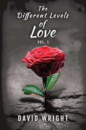 The Different Levels of Love, Volume 1: Wright, David: 9781946818119 ...