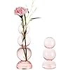Amazon.com: Glass Bubble Vases for Flowers, Hewory 2pcs Pink Unique ...