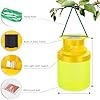 Amazon.com : Fly Traps Outdoor Hanging, 2 Pack Solar Fly Trap with ...