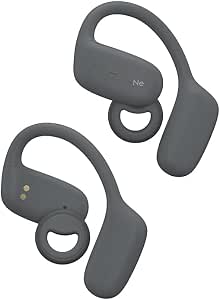 Amazon.co.jp: Radius Radius HP-B100BT HP-B100BT Fully Wireless Bone ...