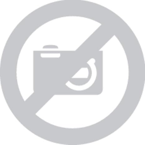 Rittal 2435000 Ergoform-S Lock System, Silver : Buy Online at Best ...