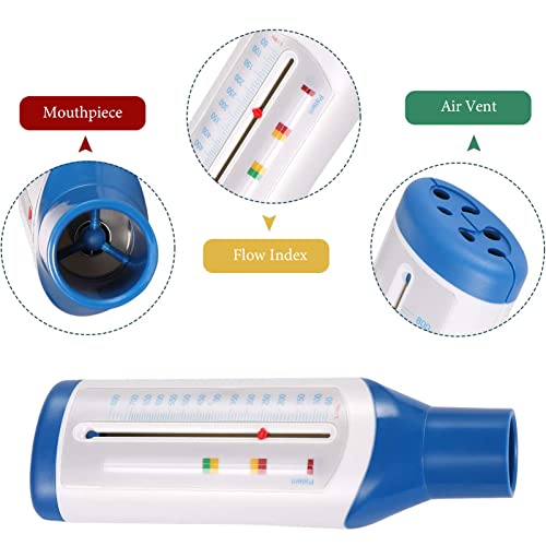 Mini Peak Flow Meter for Adults, Lung Exerciser Lung Performance ...