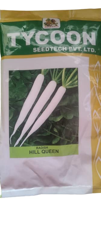 Tycoon Hybrid Radish Kawasaki 1 Packet Seeds Seed (250 per packet) (2 ...