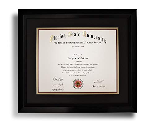 Amazon.com: Florida State University Diploma Frame With Triple Matting ...