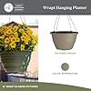 Amazon.com: The HC Companies 11 Inch Wrapt Hanging Planters ...