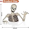 Amazon.com : Seasons 48" Halloween Giant Ground Breaking Skeleton with ...
