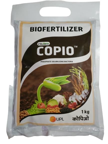 Copio -1 Kg : Amazon.in: Garden & Outdoors
