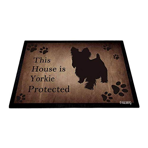 10 Must-Have Products for Your Old Yorkie: A Review and Buying Guide ...