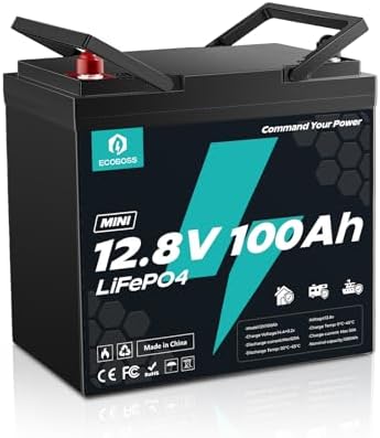 Amazon.com: 12V 100Ah Mini Lithium Battery, Group 24 LiFePO4 Battery ...