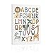Amazon.com: ABC Poster Nursery Wall Decor: Boho Alphabet Art for ...