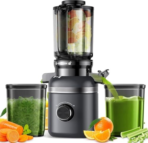 Amazon.com: Secura Mesh Free Slow Juicer with Stainless Steel Prong ...