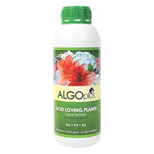 Amazon.com: AlgoPlus Acid Loving Plant Formula : Patio, Lawn & Garden