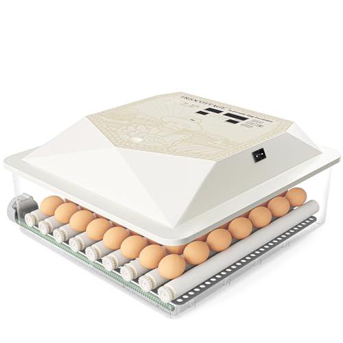 Les 5 meilleures couveuses pour poussins : : Avis et comparatif